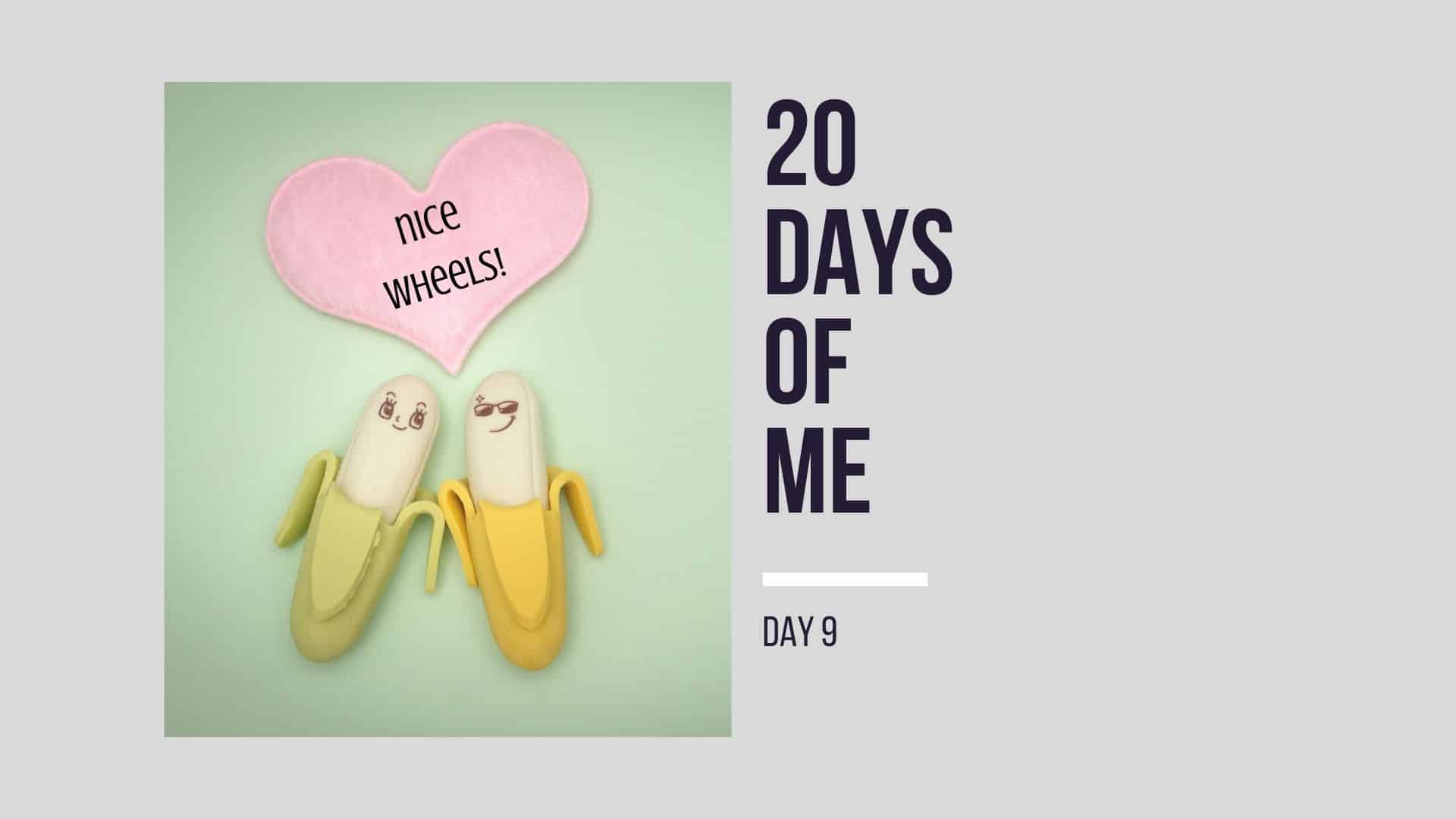 Stickshifts and Safetybelts - Behind Every Day